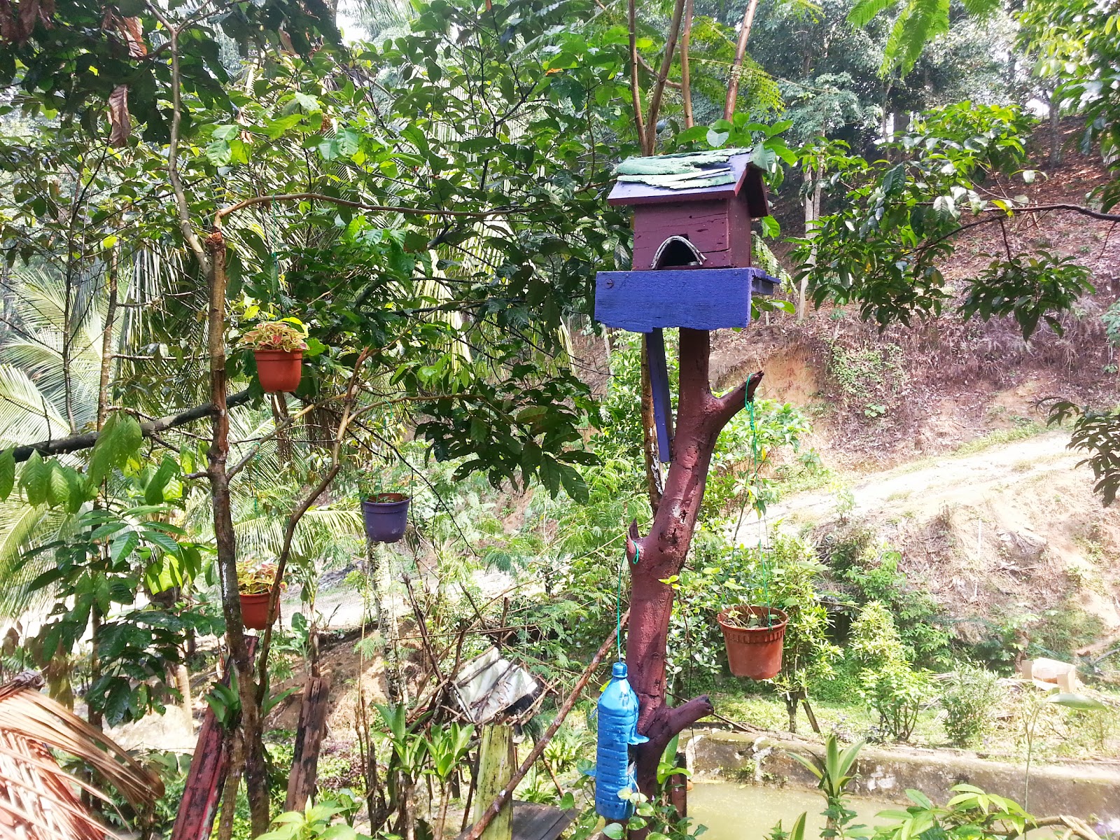 KUCING TERBIAR DOT COM: Rumah burung