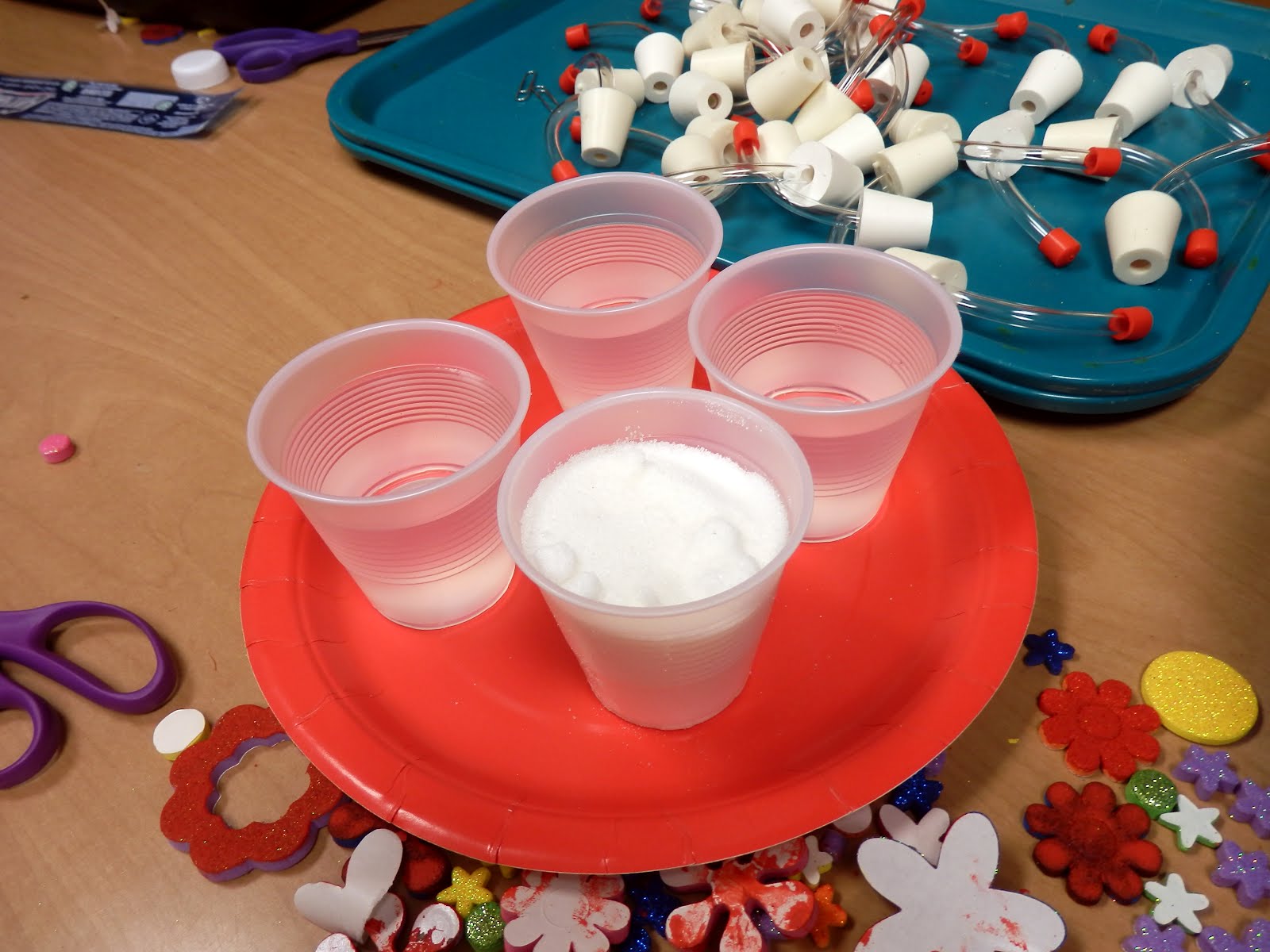 Aloha Windmill Farms: Hummingbirds and Tongues!