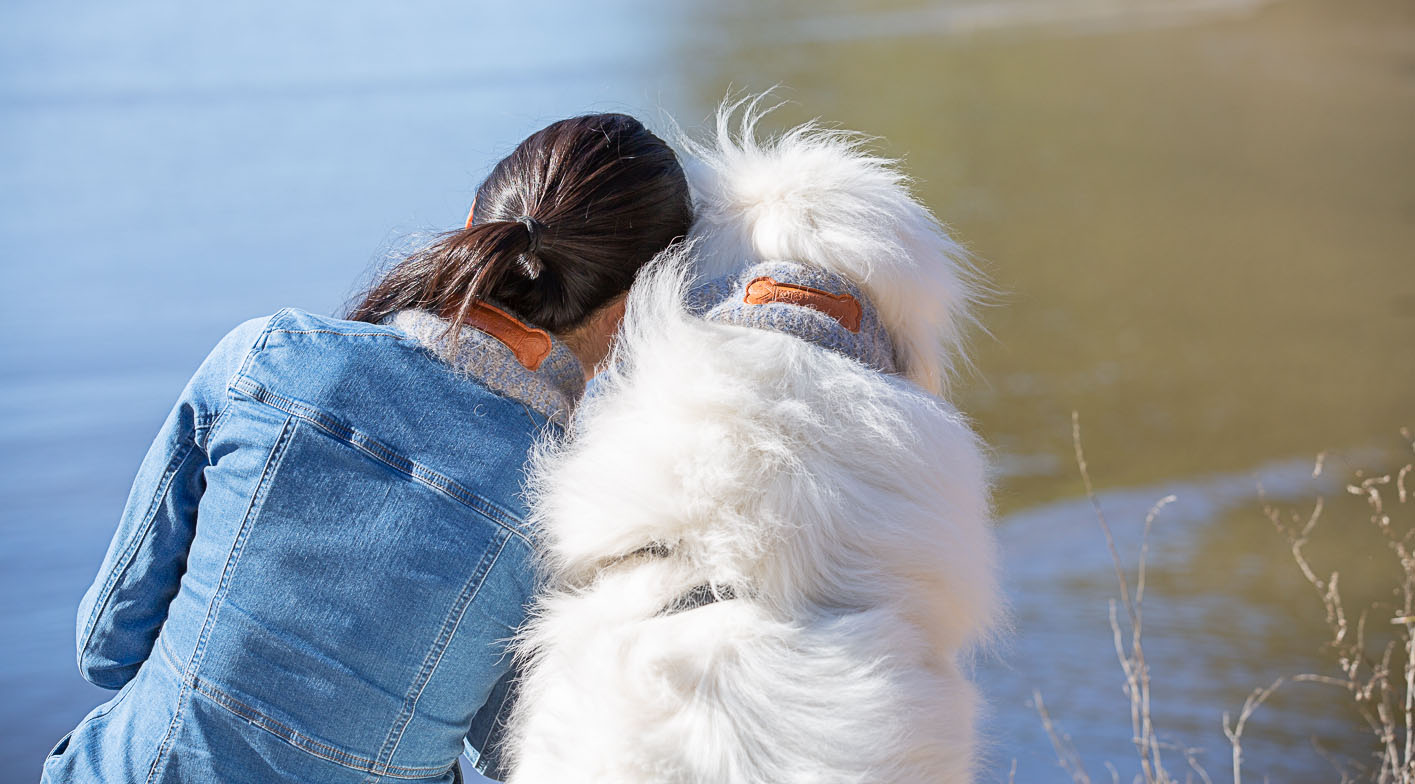 Win a Kotes&Mags Skarf Set for a Dog Mum | Australian Dog Lover