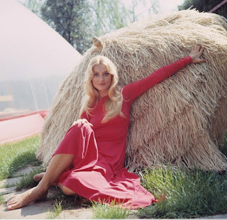 Slice of Cheesecake: Barbara Bouchet, pictorial