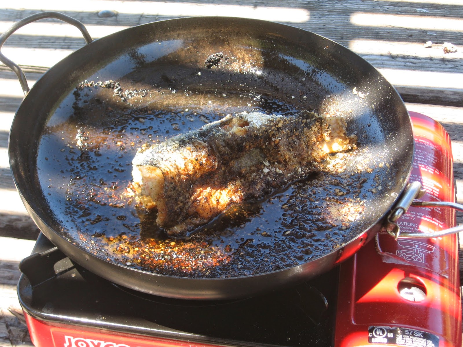 Fisher Family established 2010: Doane Pond day trip March 2009