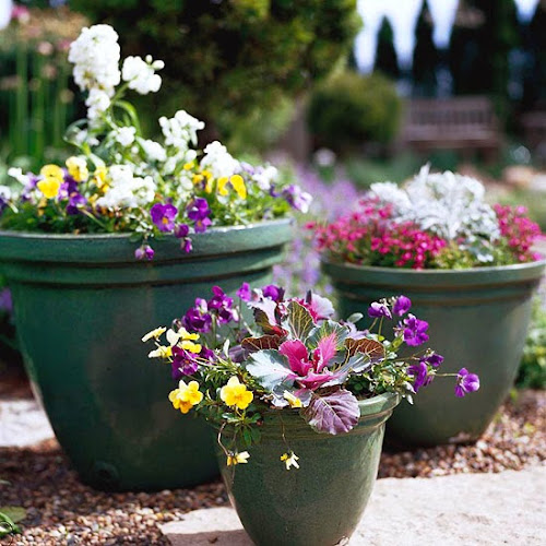 #Gardening : Cool-Season Containers . Go with Groups