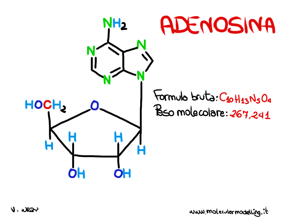 Bioquímica nas emergências cardíacas: Adenosina no tratamento de ...