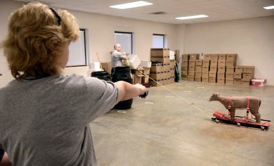 Four legged friends (and enemies): North Carolina: Animal Control ...