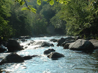 NEHİR RESİMLERİ-Manzaralar