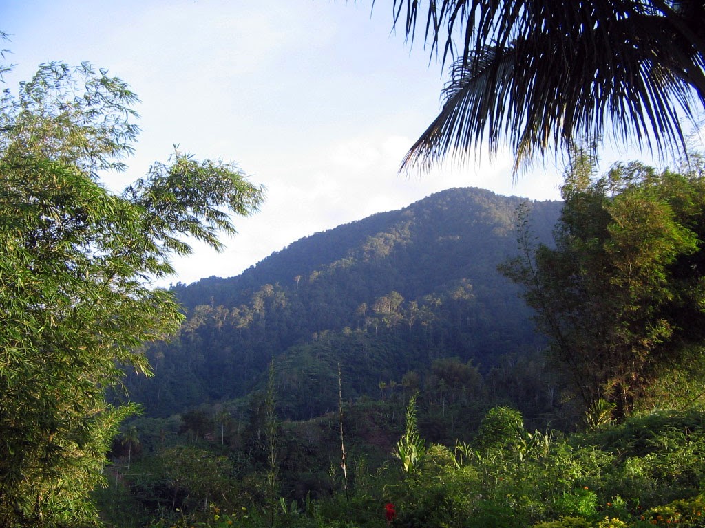 LOGSAC: Backtrack # 12: MT. TIBOLO-MT. SIBULAN CROSSOVER SURVEY CLIMB