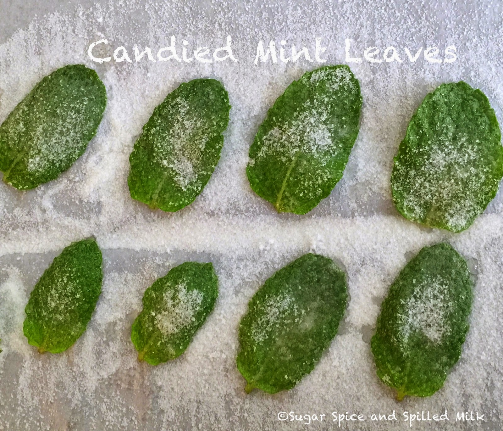 Candied Mint Leaves