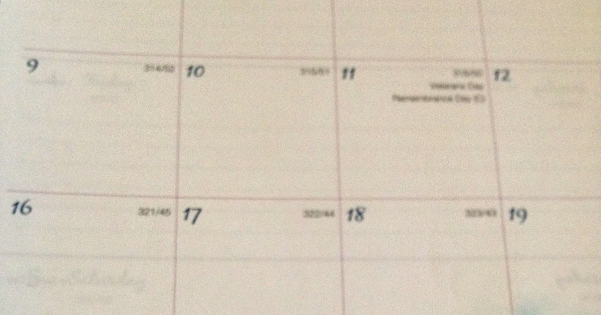 Sheila's Sagacious Stirrings: Writing Journeys ~~ Write On Schedule