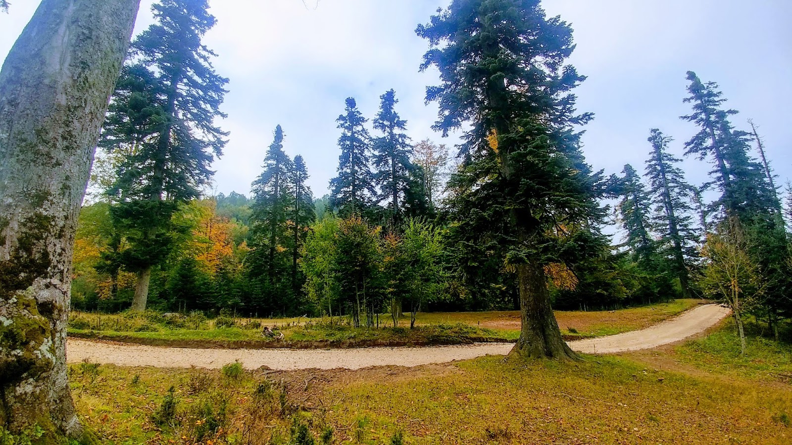 One day trip to Turnalık & Çiğdem & Dikmen plateaus in Turkey