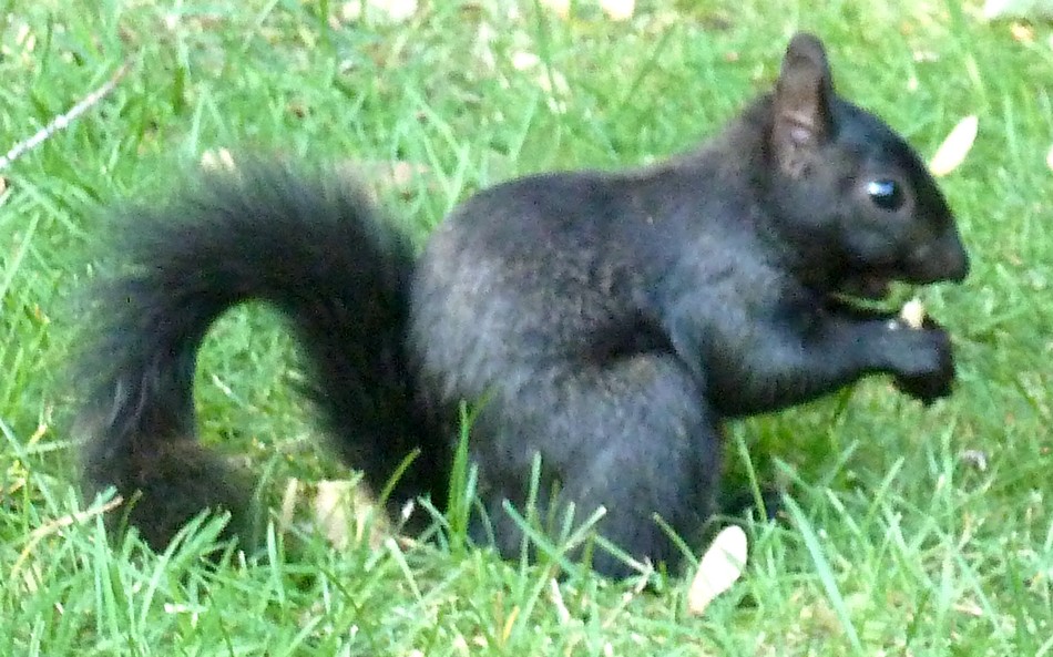 LE BLOG A EMILE (Lansman): Le coup de pouce aux jeunes, la ...