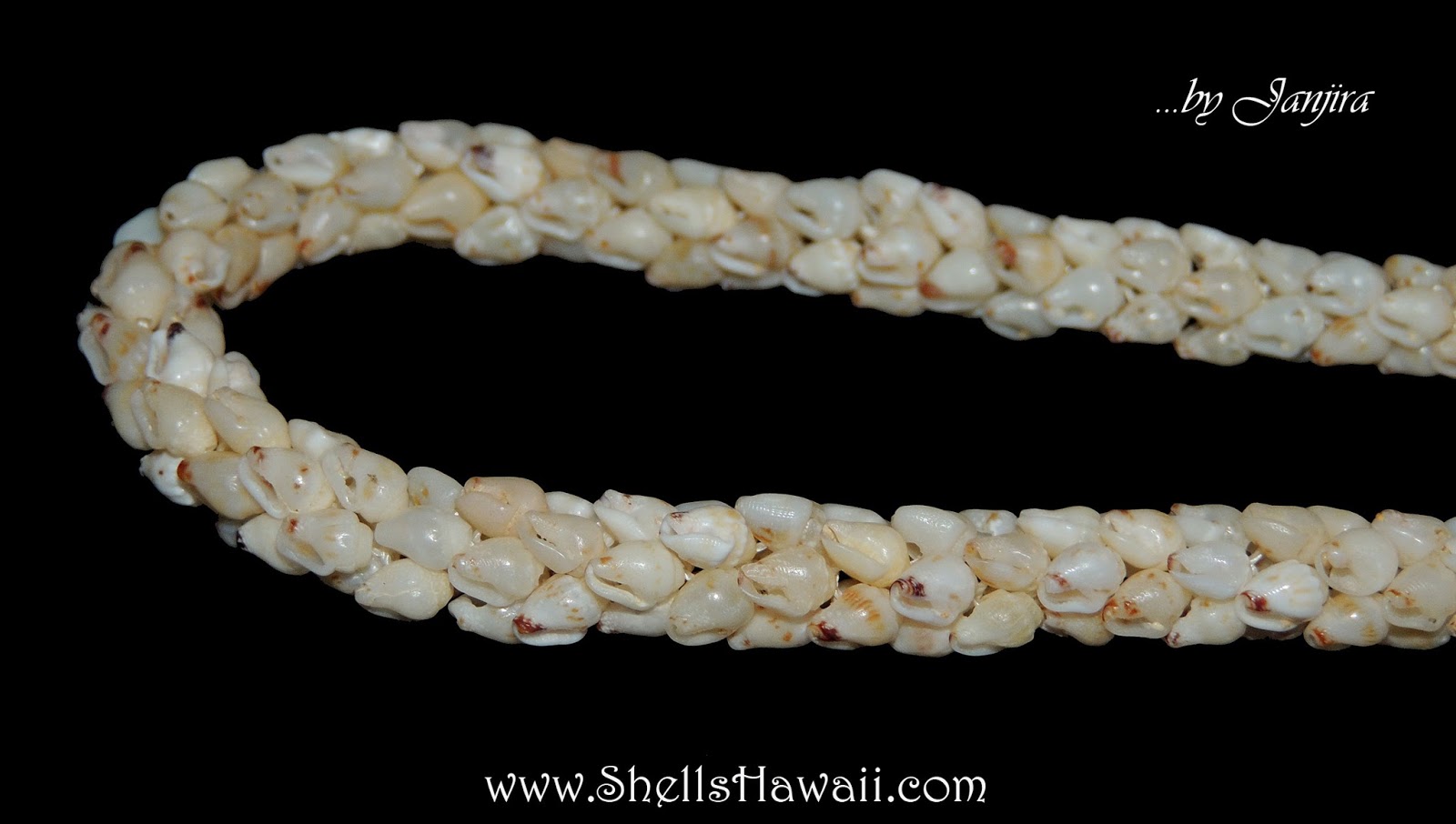 ShellsHawaii ...by Janjira: Momi shell leis