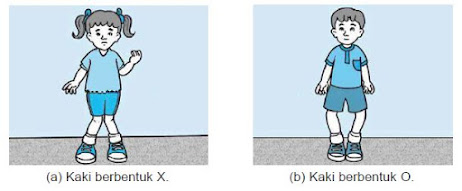 Materi IPA Kelas 4 : Memelihara Kesehatan Rangka - Mashenry.com