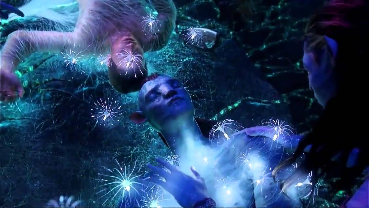 MAK: "Avatar" and the Co-Evolution of Consciousness, Culture and Society