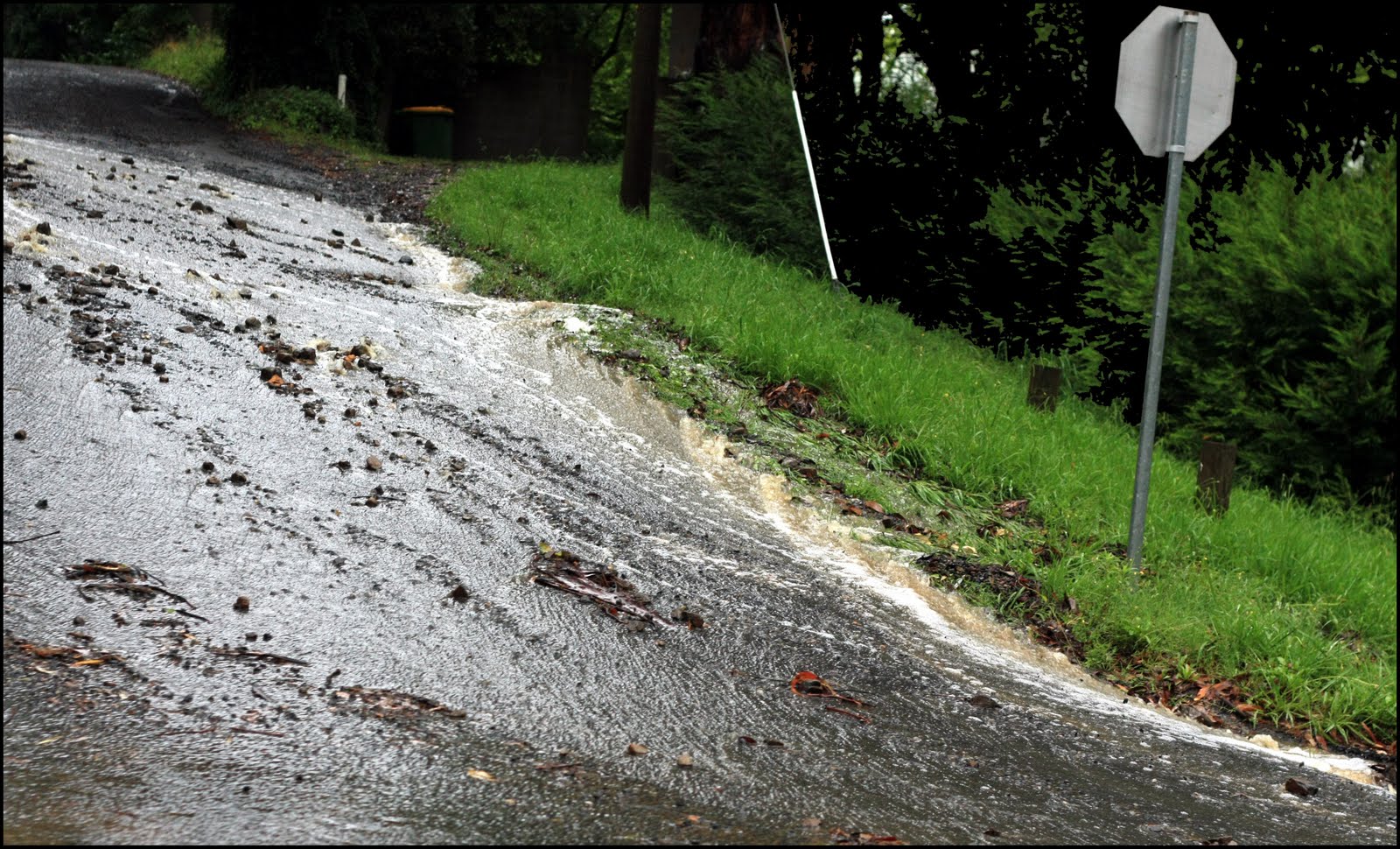Cr Samantha Dunn: flood impact on yarra ranges