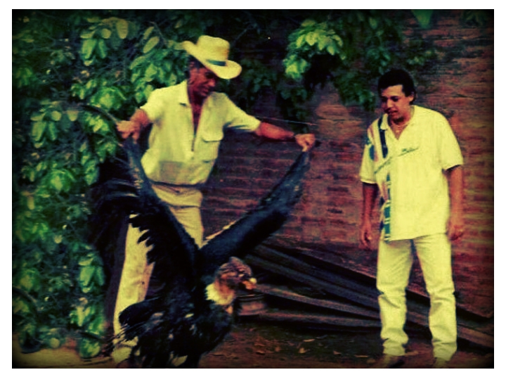 ¡La historia no contada y el secreto del cóndor herido! | Videos ...