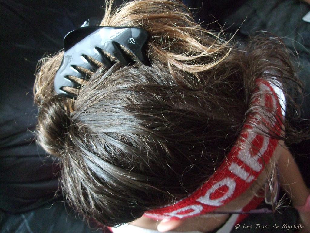 Les Trucs de Myrtille: Se débarrasser des poux en 10 points