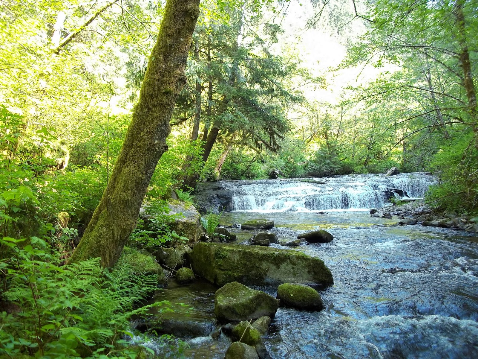 Casing Oregon: A Sweet Spring Hike