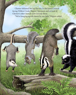 STORYWRAPS: Chester Racoon and the Almost Perfect Sleepover - a bookwrap