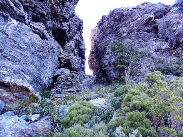 Goin' Feral One Day At A Time: First Arrow Camping Cave to Stirling ...