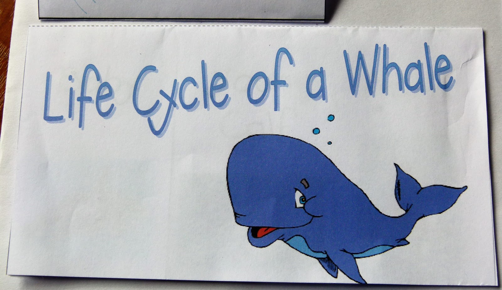 Lapbook: Wieloryby - Whales