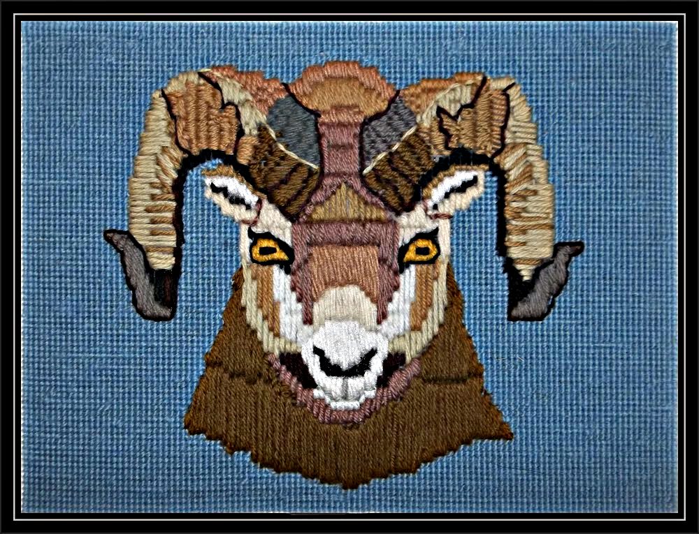 Easier on The Eyes: Needlework for Older Needlecrafters | Cuttings from ...