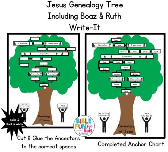 Genealogy Charts for Jesus | Bible Fun For Kids