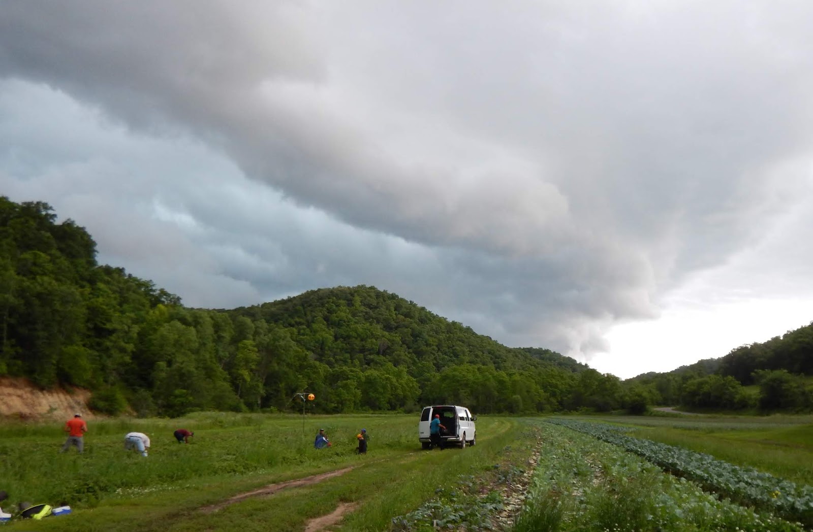 Harmony Valley Farm: Fall Farm Update: Reflections on the 2019 Growing ...