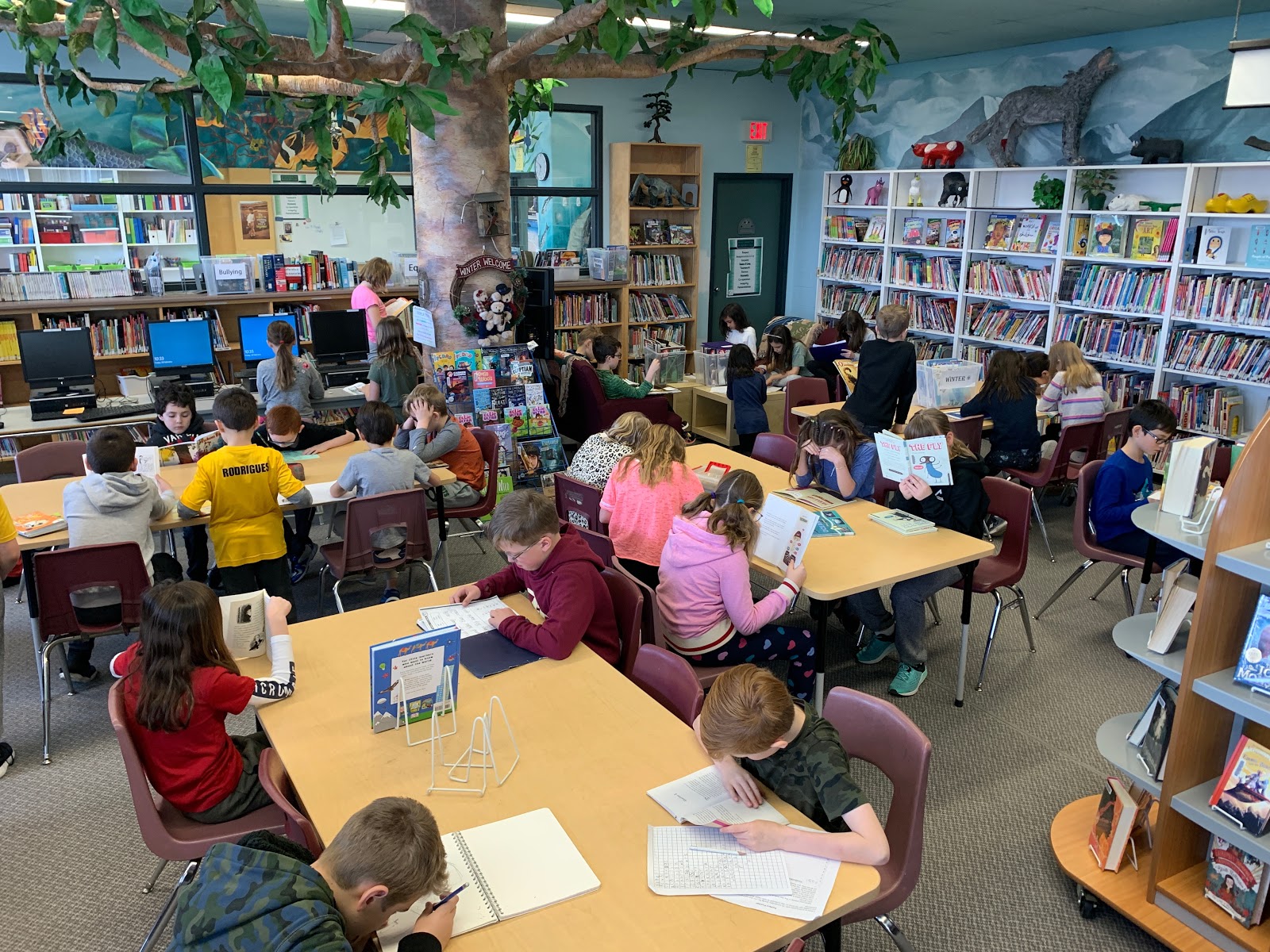 The 21st Century Librarian