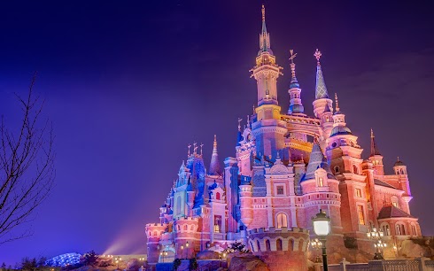 Disney Photoblography