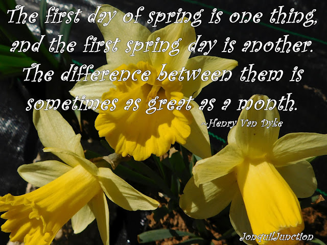 Welcome to Jonquiljunction: Sunday Quotes...HAPPY SPRING