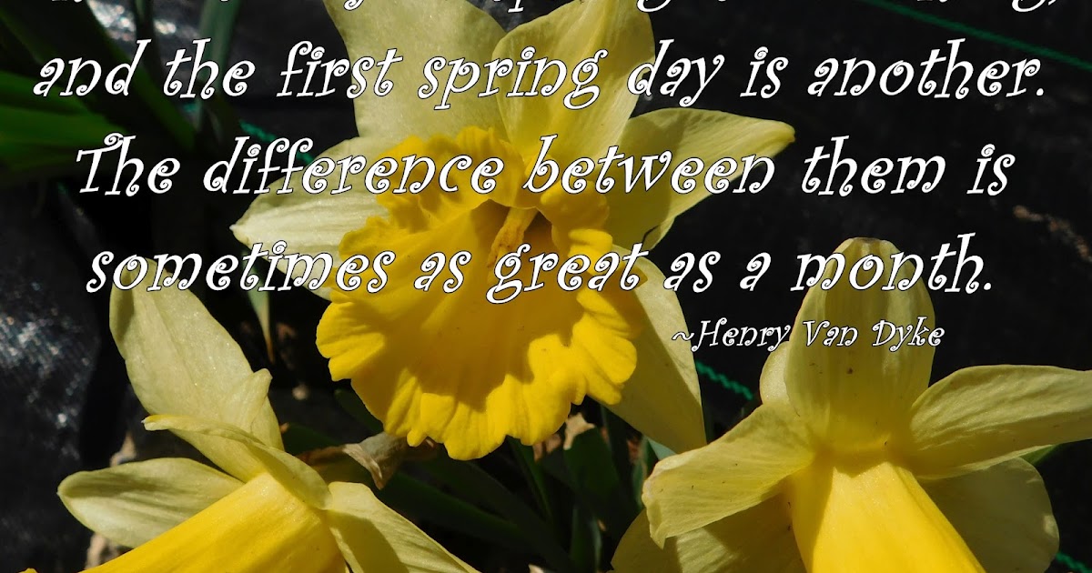 Welcome to Jonquiljunction: Sunday Quotes...HAPPY SPRING