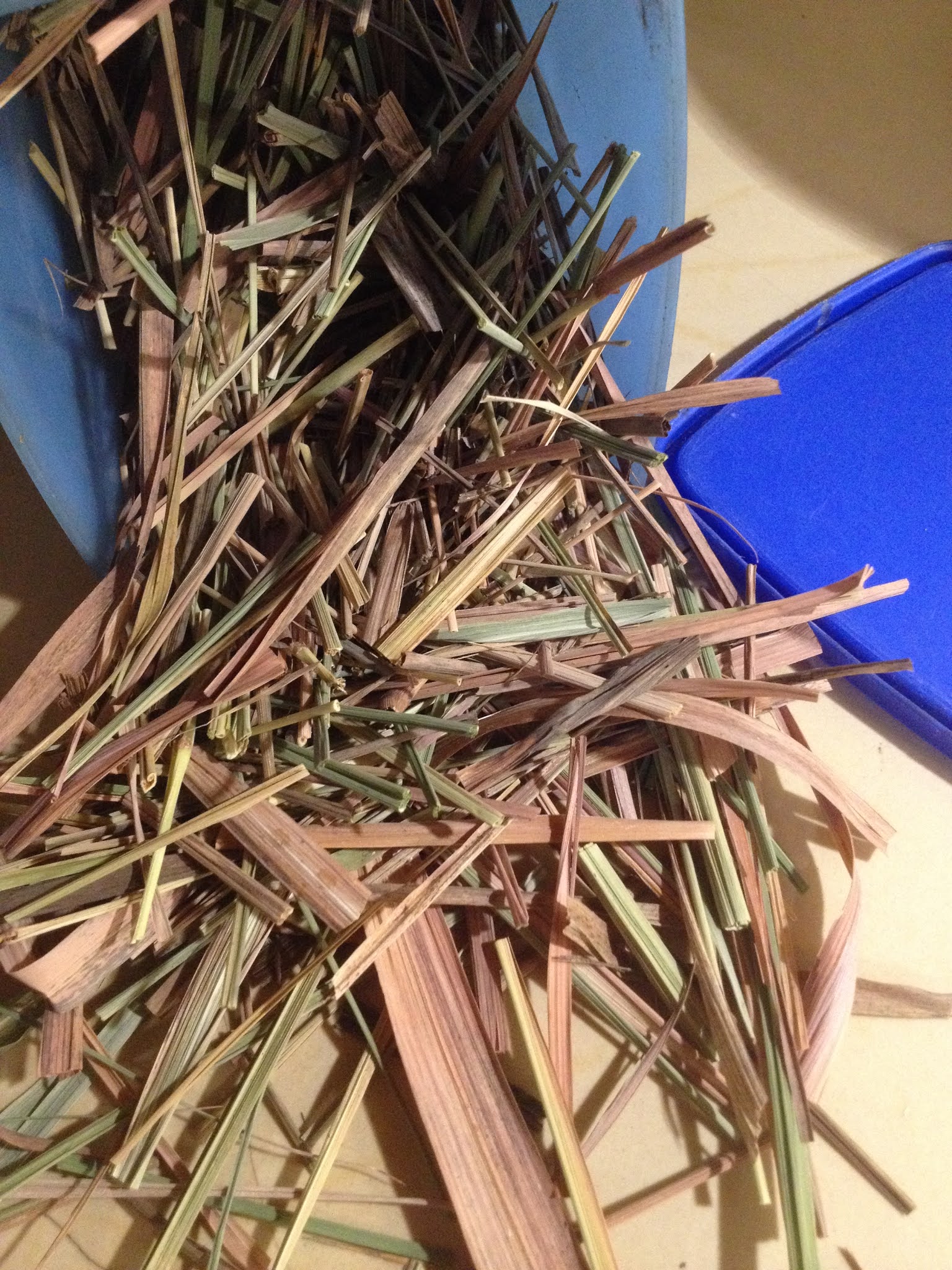 Infusión de malojillo, limoncillo, lemongrass