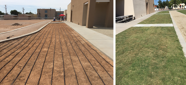 Subsurface Drip Irrigation for New Mexico Turf