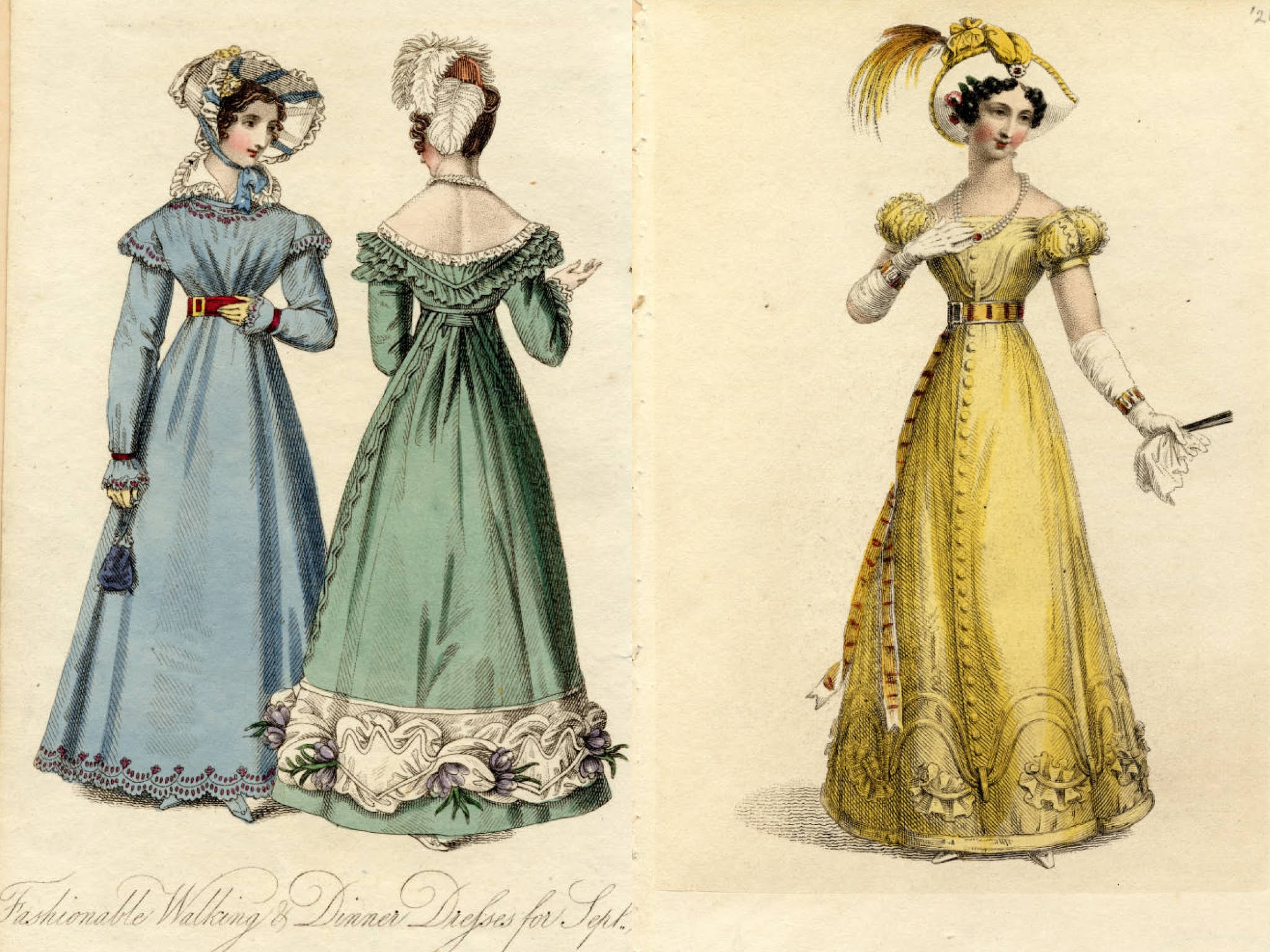 First Impressions: The Writings of Author Alexa Adams: The Rise and ...