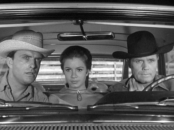 Television's New Frontier: The 1960s: Stoney Burke (1962)