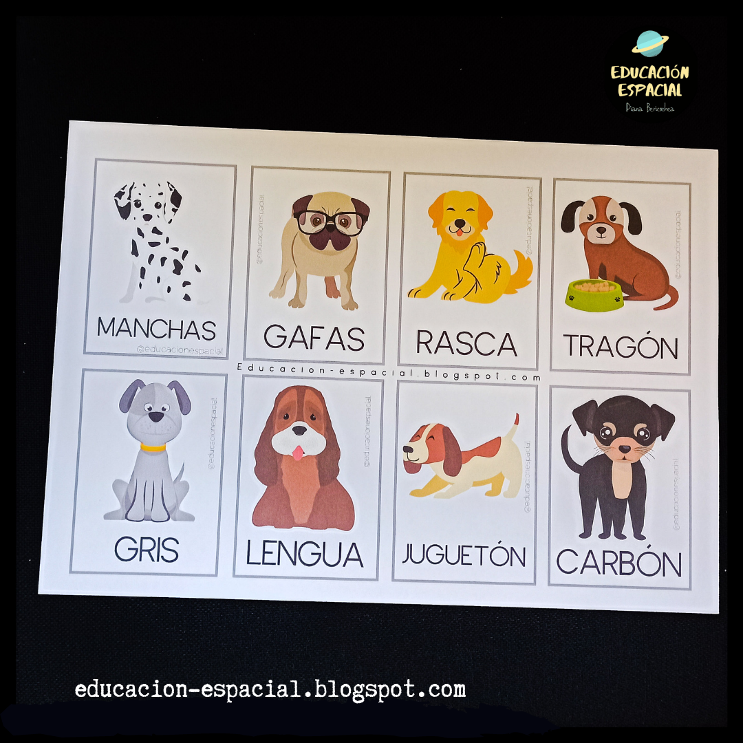 Jugamos y aprendemos con unos perros muy teacch