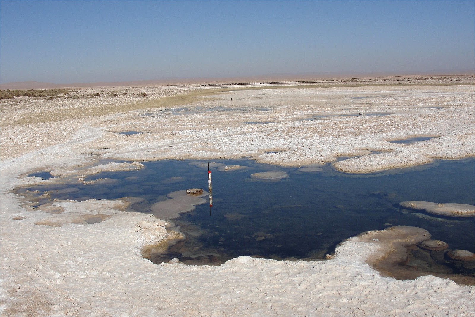 Caminantes del Desierto: EL SALAR DE LLAMARA