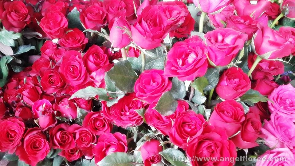 [Travel] What to Expect in Baguio City for First Time Travelers ...