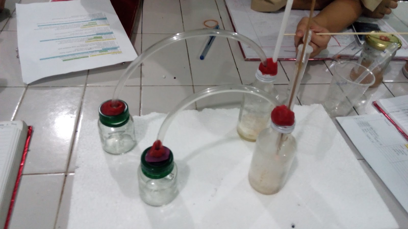 PRAKTIKUM FAKTOR LAJU REAKSI (ENZIM SEBAGAI BIOKATALIS) DALAM REAKSI ...