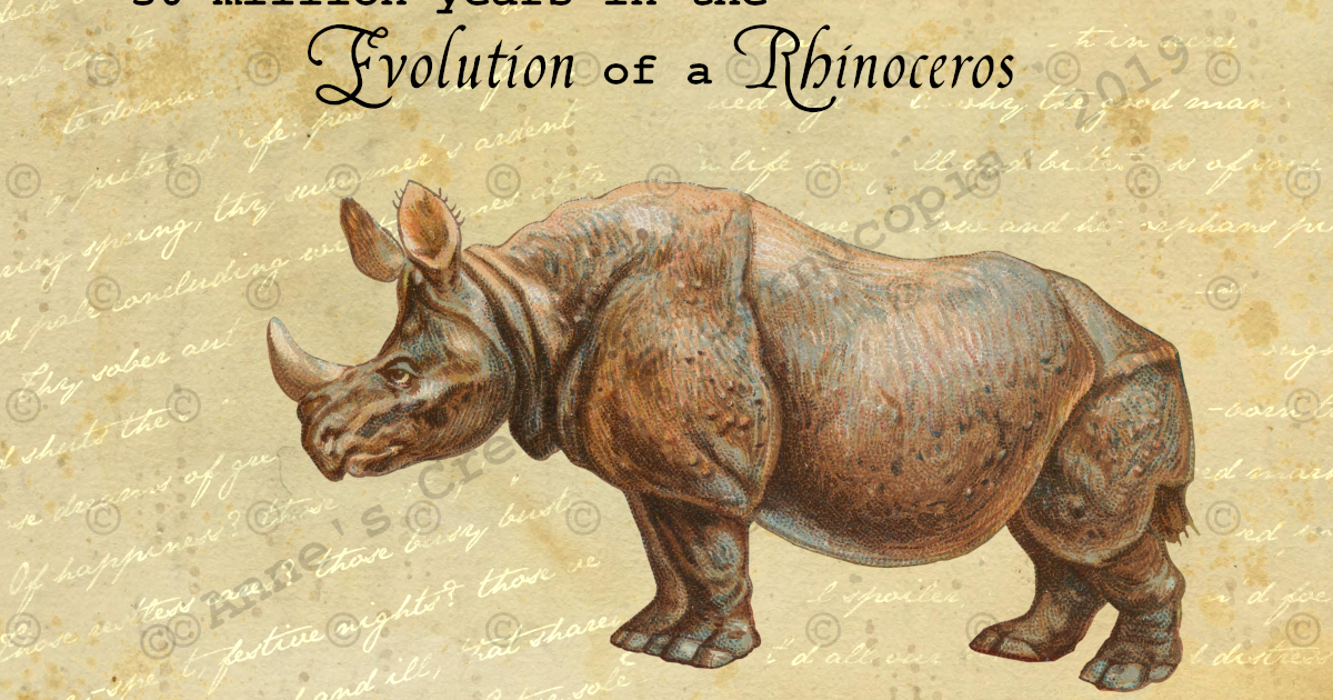 Anne's Creative Cornucopia: "Rhinoceros Evolution" - Postcard