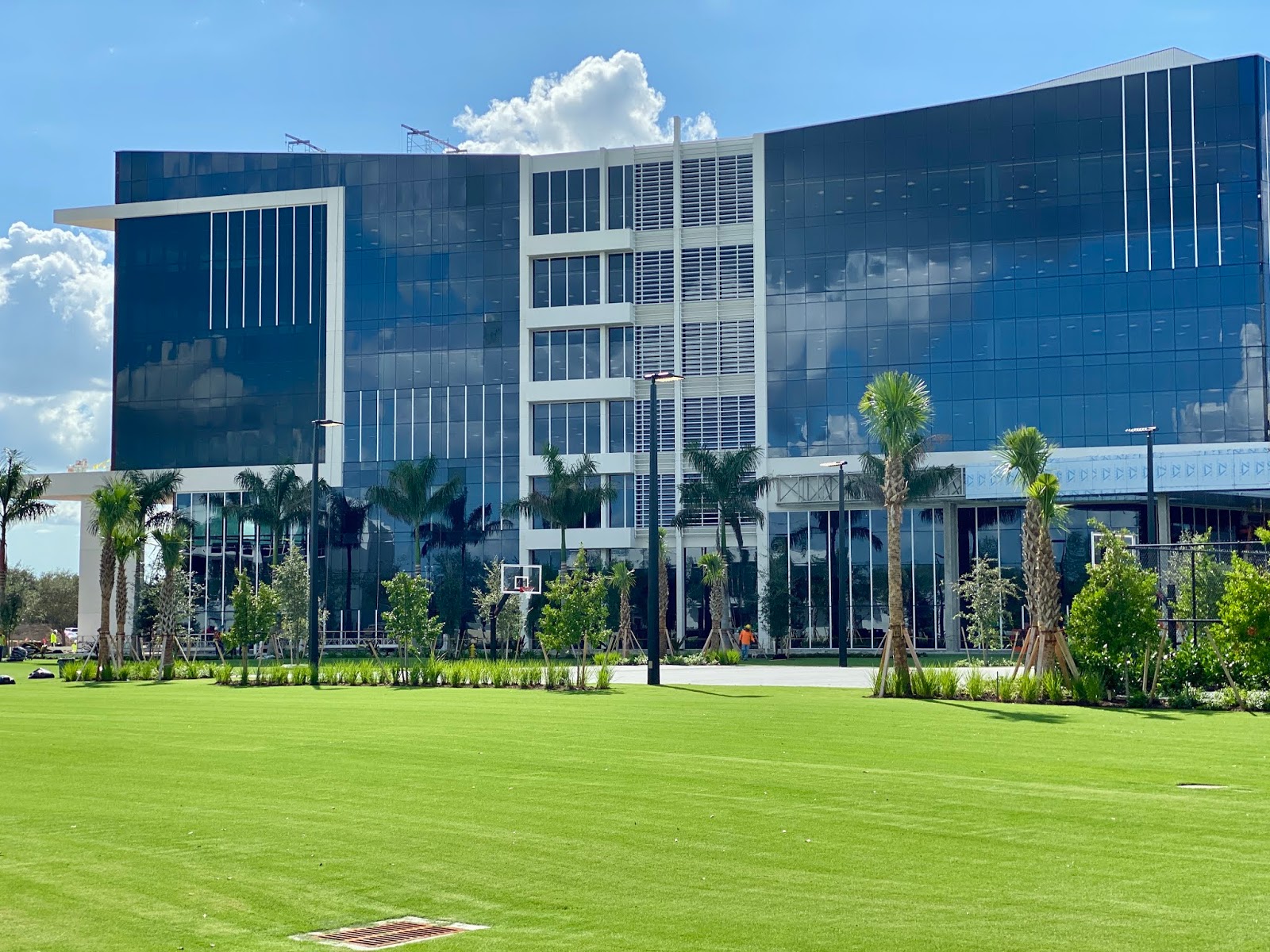 Southwest Daily Images: Arthrex