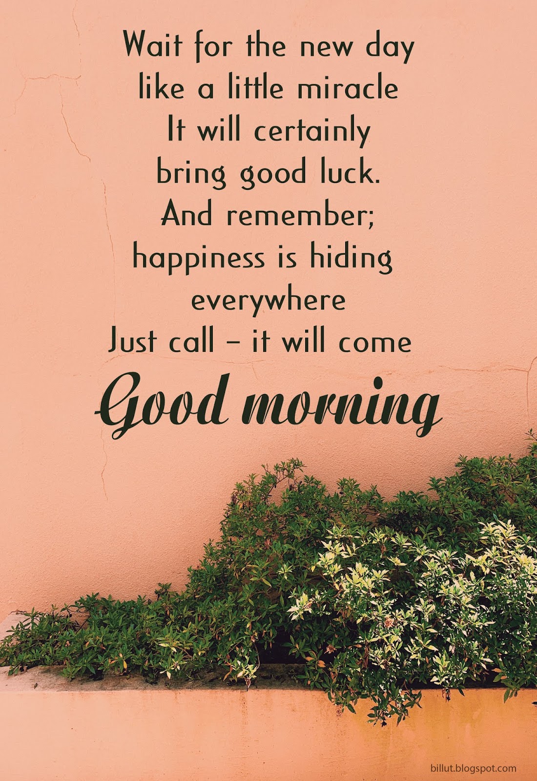 Good Morning Quotes/Message