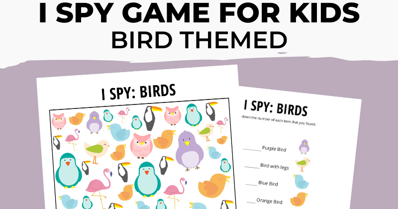 Bird Themed I Spy Game {Free Printable for Kids} | And Next Comes L ...