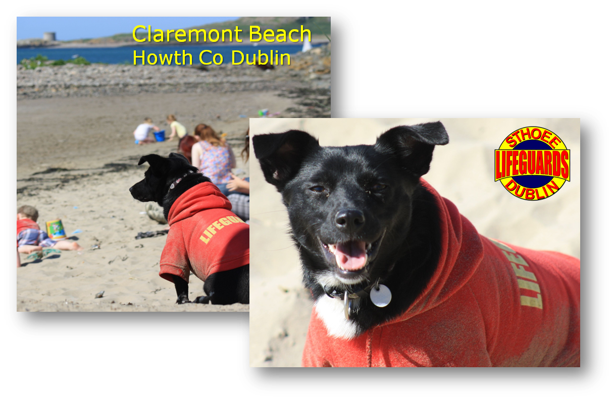 Sthoee Lifeguards Dublin, Ireland: even the Lifeguard Dog on the beach ...