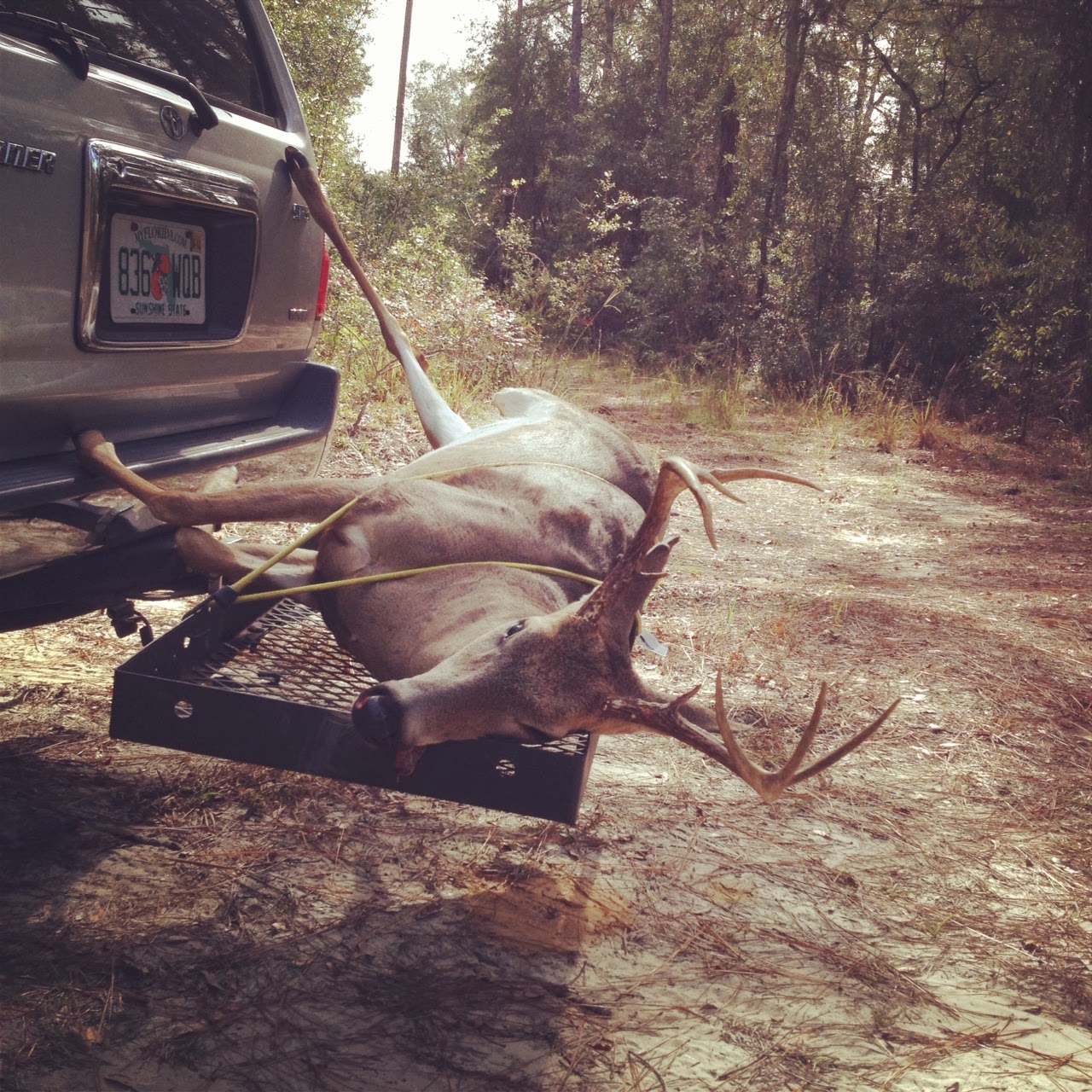Real Life Outdoors
