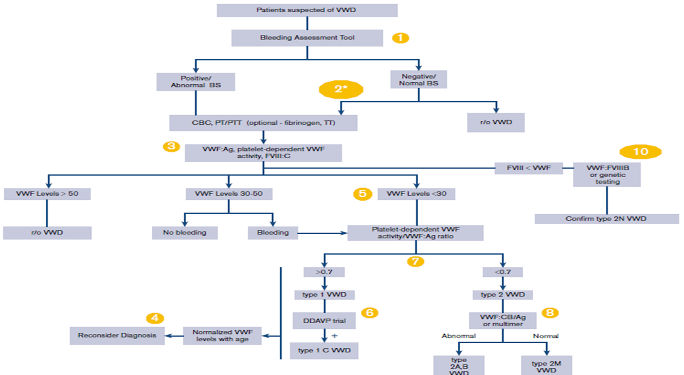ASH ISTH NHF WFH 2021 guidelines on the diagnosis of von Willebrand ...