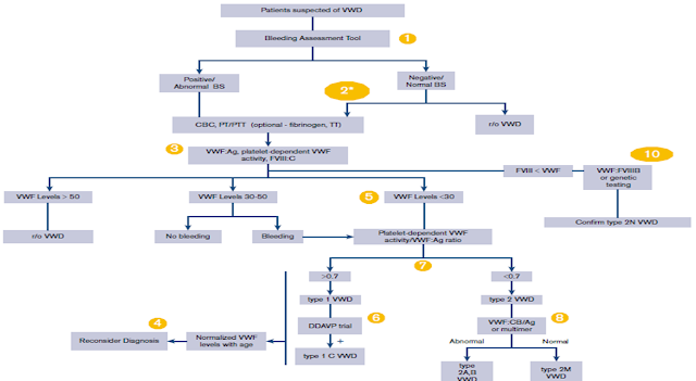 ASH ISTH NHF WFH 2021 guidelines on the diagnosis of von Willebrand ...