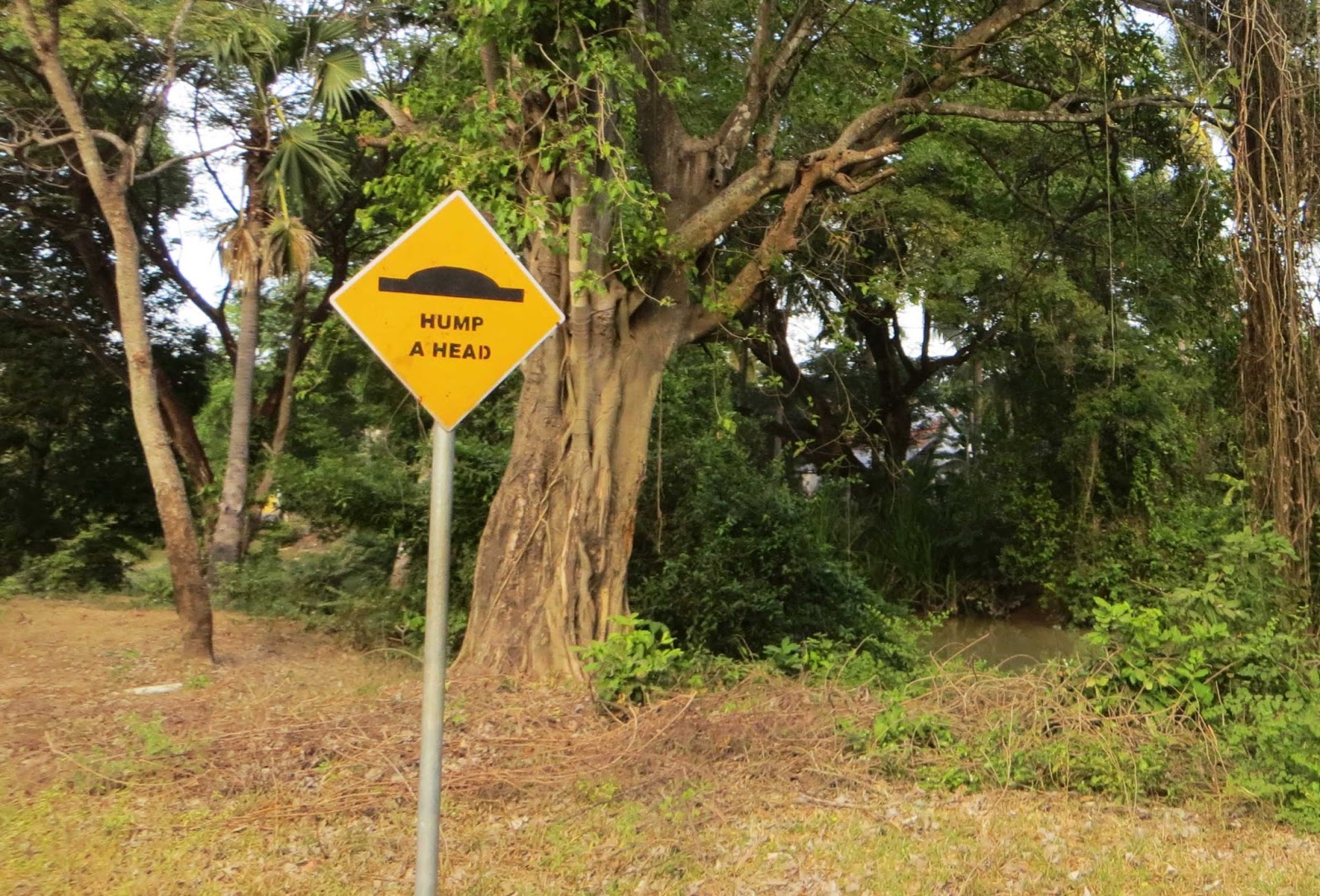 sconzani: It’s a sign: Cambodia