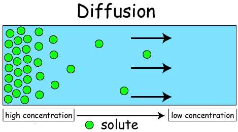 Diffusionsdefinition