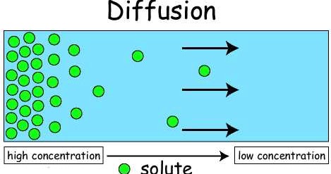 Definition Osmosis Diffusion Active Transport | Plant Science 4 U